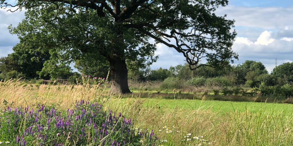 Everards Meadows Open Now | Everards Meadows