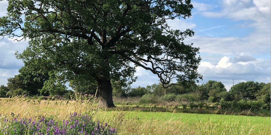 Everards Meadows Open Now | Everards Meadows